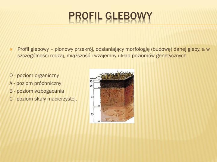PPT - Opracował Damian Kozłowski PowerPoint Presentation - ID:4537539