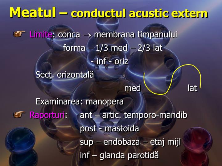PPT - Organul Vestibulo-Cohlear PowerPoint Presentation - ID:4537604