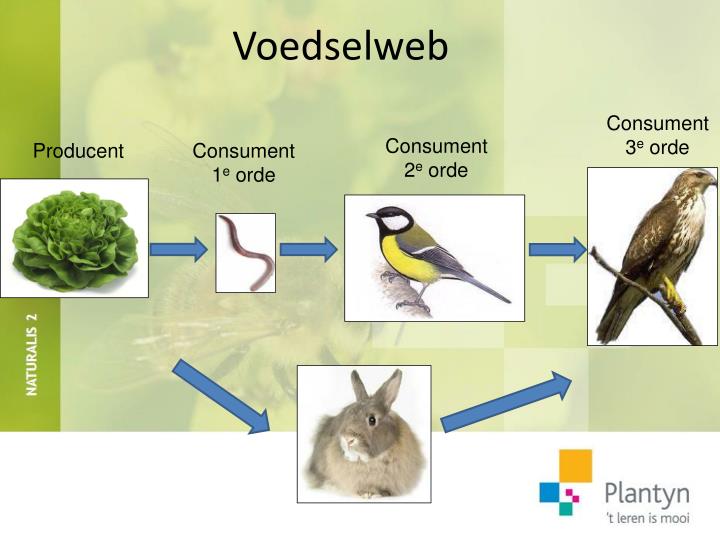 PPT - DEEL 1 Organismen vormen een levensgemeenschap PowerPoint ...