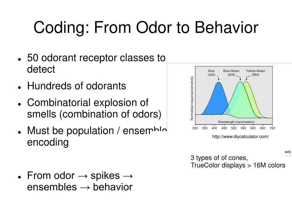 Ppt Sensory Encoding Of Smell In The Olfactory System Of Drosophila Powerpoint Presentation