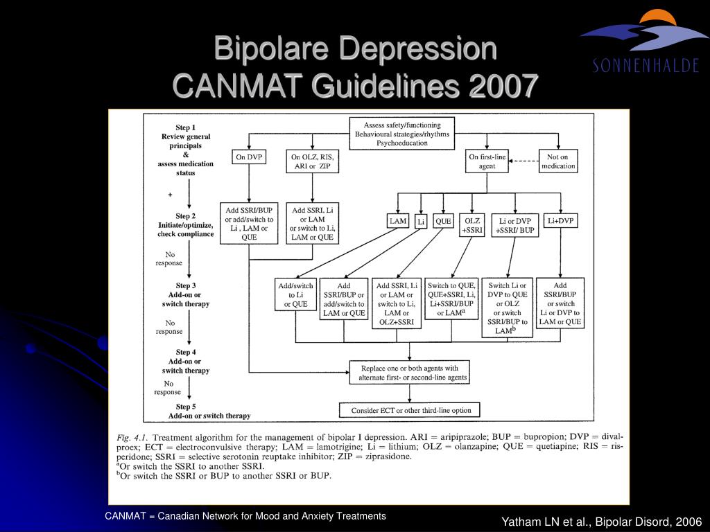 PPT - Die bipolare Depression – eine diagnostische und therapeutische ...