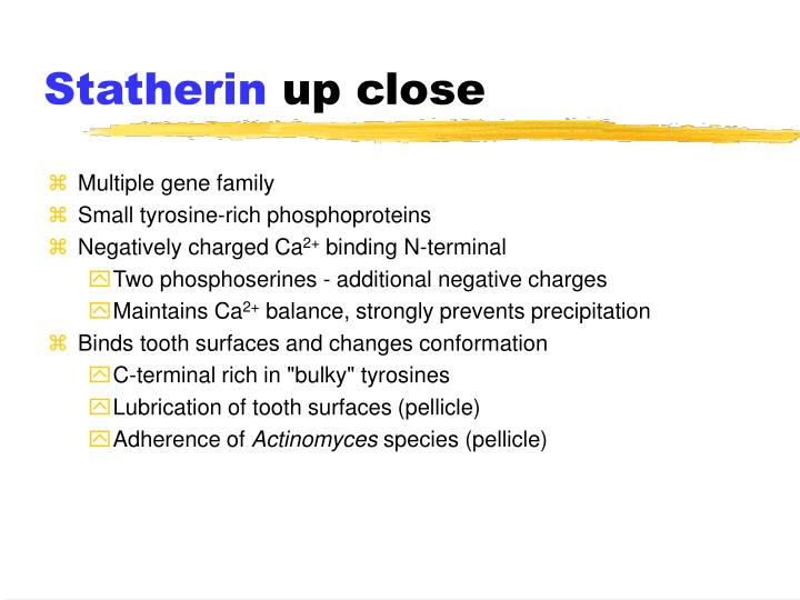 PPT - Salivary Proteins PowerPoint Presentation - ID:4541623