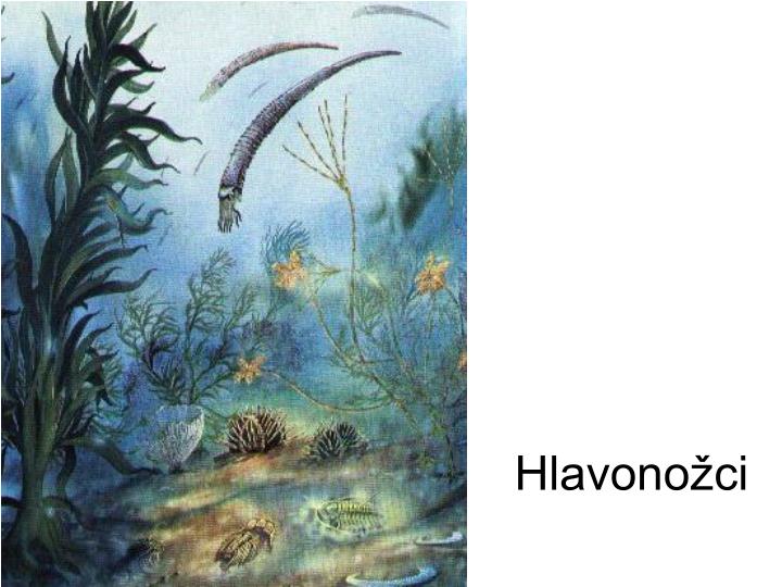 PPT - Prvohory Přírodopis 9. třída PowerPoint Presentation - ID:4542223