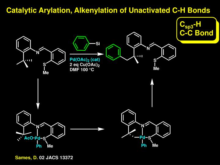 PPT - C-H Activation: The New Generation PowerPoint Presentation - ID ...
