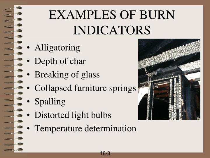 PPT - Forensic Science PowerPoint Presentation - ID:4543080