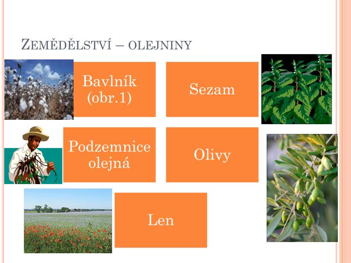 PPT - ASIE - HOSPODÁŘSTVÍ PowerPoint Presentation - ID:4544597