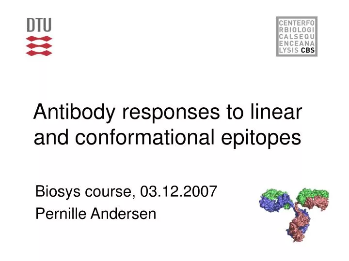 PPT - Antibody responses to linear and conformational epitopes ...