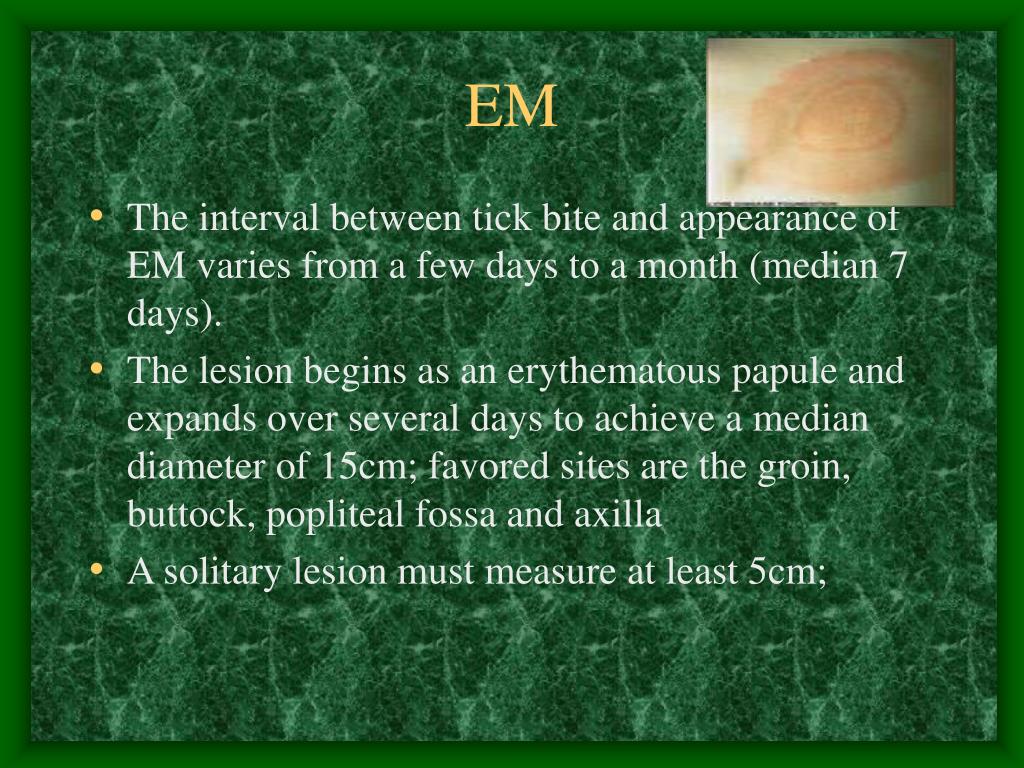 PPT - Lyme disease Lyme borreliosis PowerPoint Presentation, free ...