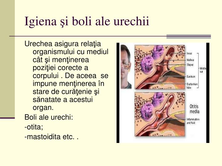 PPT - Organele de sim ţ PowerPoint Presentation - ID:4546404