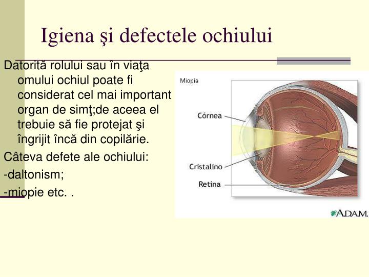 PPT - Organele de sim ţ PowerPoint Presentation - ID:4546404