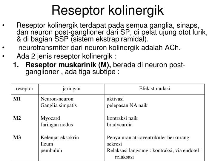 PPT - OBAT-OBAT SUSUNAN SARAF OTONOM PowerPoint Presentation - ID:4548088