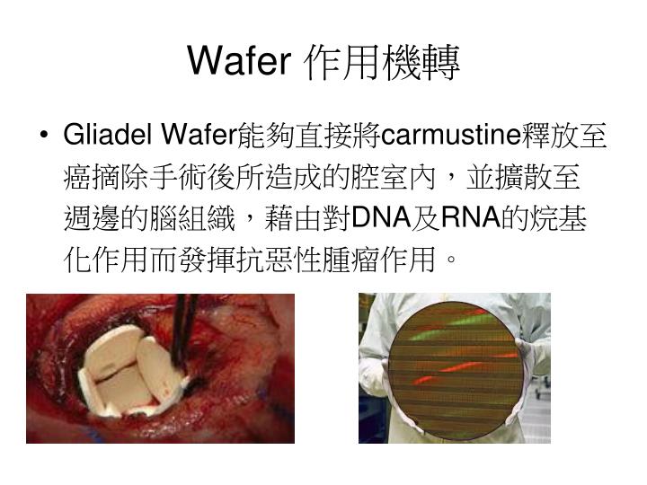 PPT - GBM 的治療 PowerPoint Presentation - ID:4548781