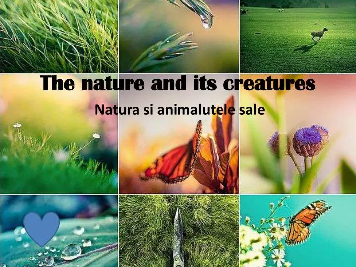 PPT - The nature and its creatures PowerPoint Presentation, free ...