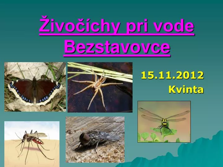 PPT - Živočíchy pri vode Bezstavovce PowerPoint Presentation, free ...