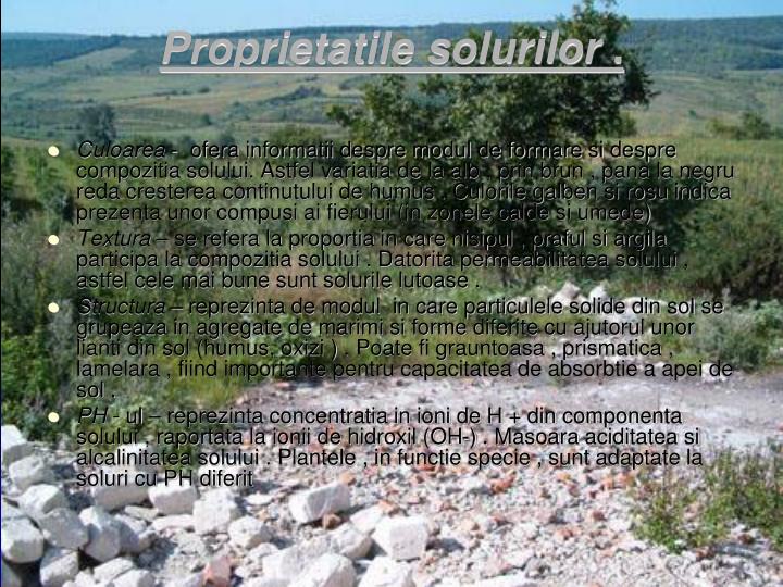 PPT - Poluarea Solului PowerPoint Presentation - ID:4552396