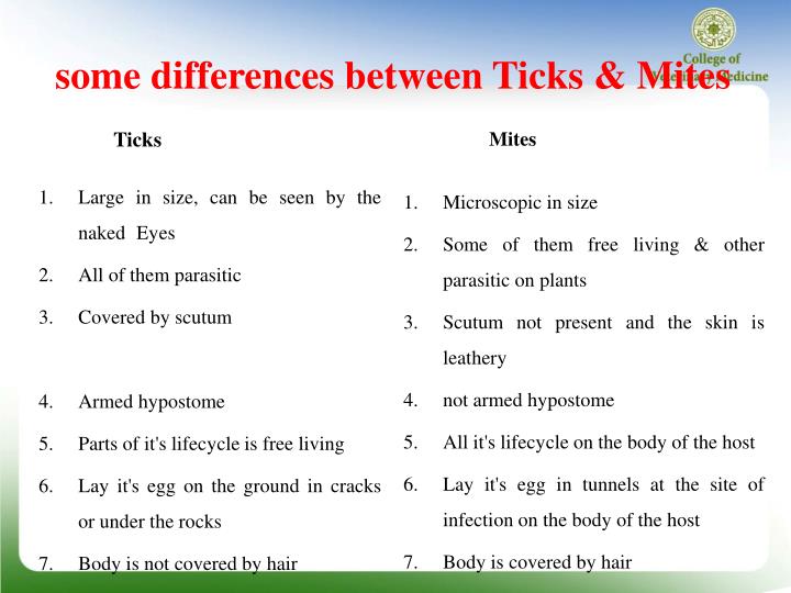 PPT - Class : Arachnida Order : Acarina Mites PowerPoint Presentation ...