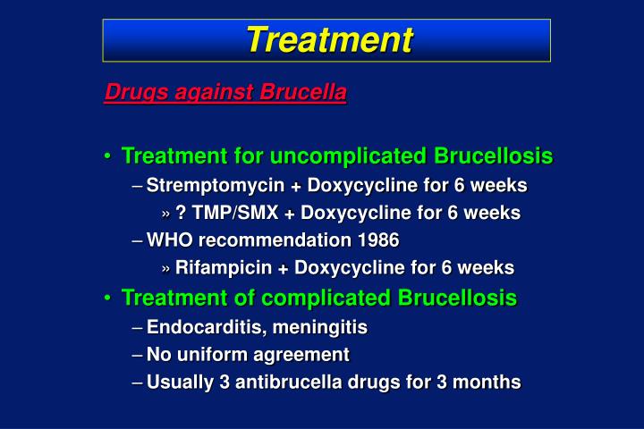 PPT - BRUCELLOSIS PowerPoint Presentation - ID:4553162