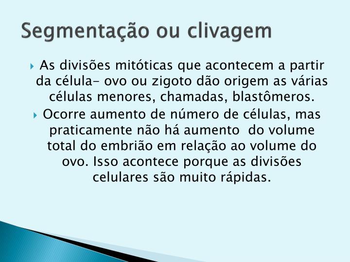 PPT - EMBRIOLOGIA PowerPoint Presentation - ID:4553749