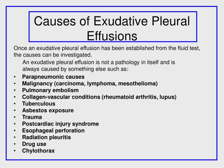 PPT - Exudative Pleural Effusions PowerPoint Presentation - ID:4553849