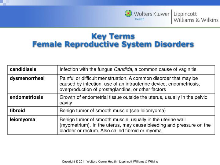PPT - Chapter 15: The Female Reproductive System; Pregnancy and Birth ...