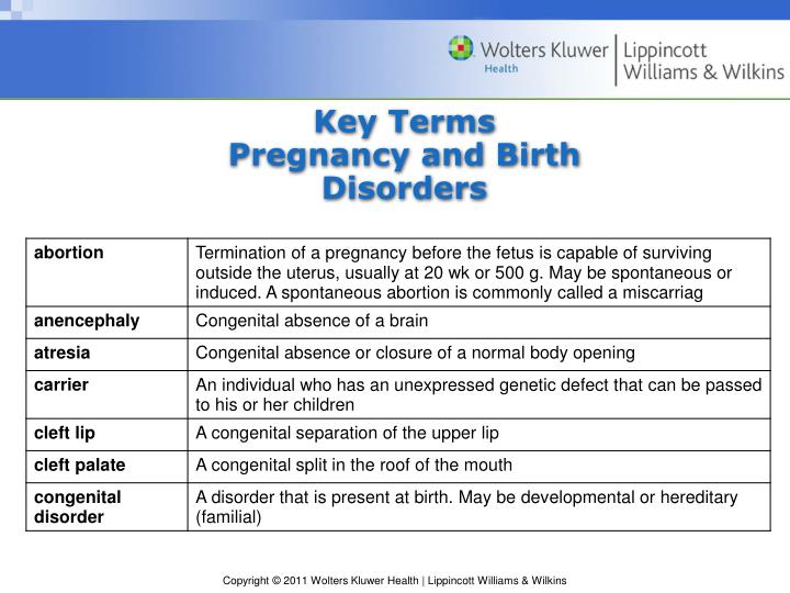 PPT - Chapter 15: The Female Reproductive System; Pregnancy and Birth ...