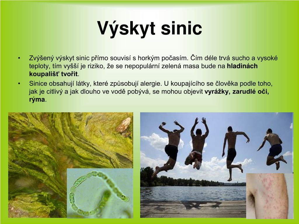 PPT - JEDNOBUNĚČNÉ ORGANISMY s nepravým buněčným jádrem SINICE ...