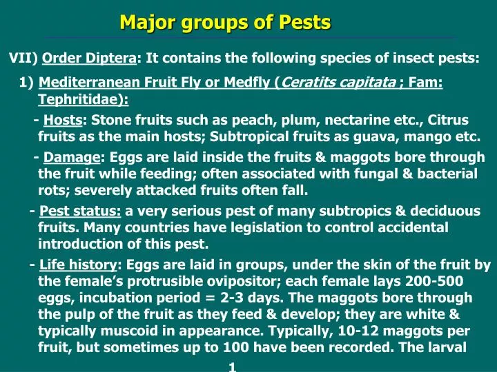 PPT - Major groups of Pests PowerPoint Presentation, free download - ID ...