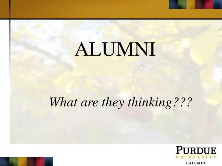 PPT - ALUMNI PowerPoint Presentation, free download - ID:4557683