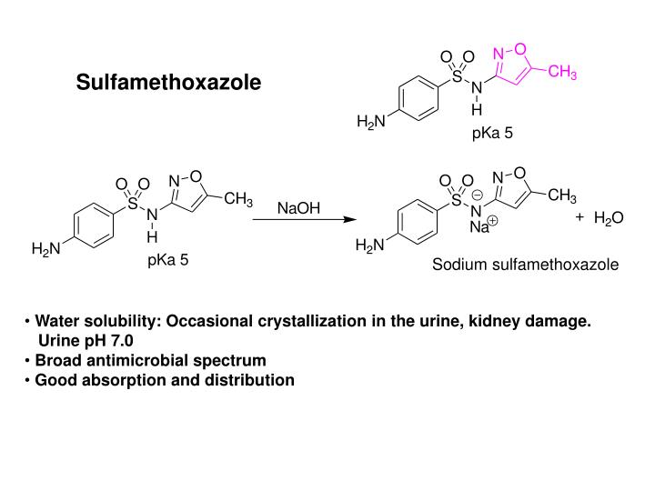 PPT - Chapter 19 Antimicrobial Agents PowerPoint Presentation - ID:4558312
