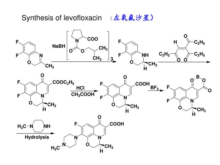 PPT - Chapter 19 Antimicrobial Agents PowerPoint Presentation - ID:4558312