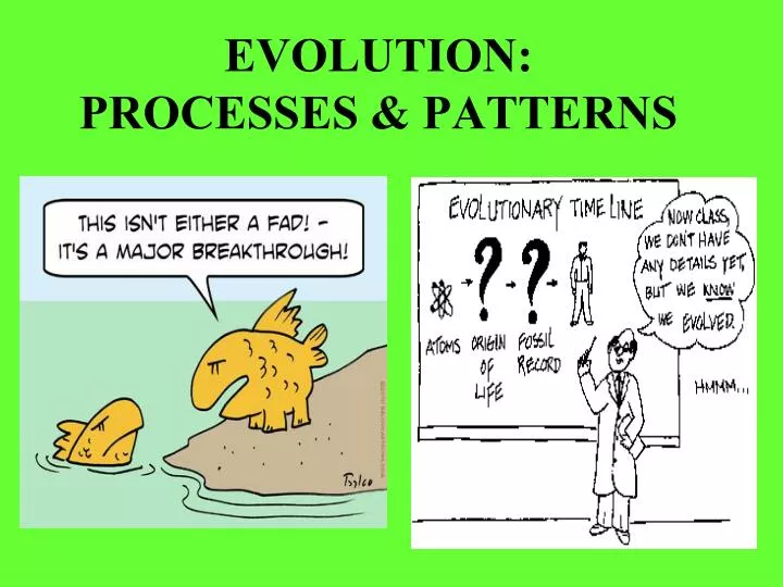 PPT - EVOLUTION: PROCESSES & PATTERNS PowerPoint Presentation, free ...
