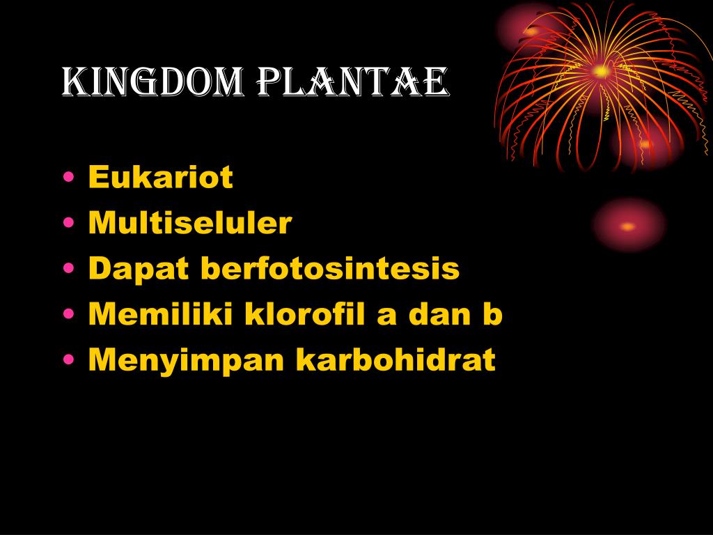 PPT - PLANTAE (Dunia Tumbuhan) PowerPoint Presentation, free download ...