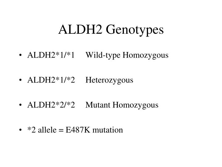 PPT - Drug Metabolism and Pharmacogenetics PowerPoint Presentation - ID ...
