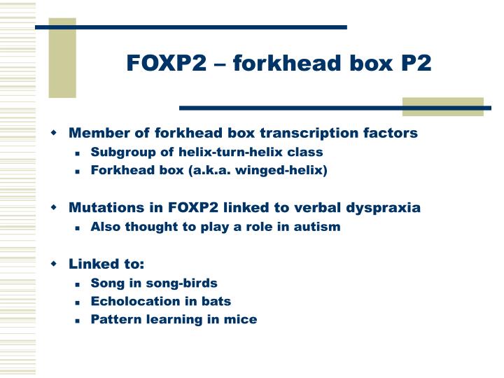 PPT - FOXP2 , verbal dyspraxia, and the evolution of human language ...