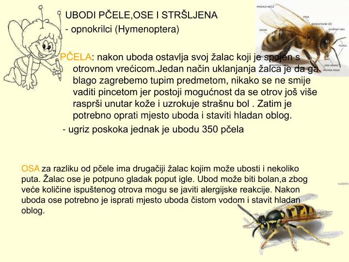 PPT - Prepoznavanje i liječenje uboda insekata kod sportaša PowerPoint ...