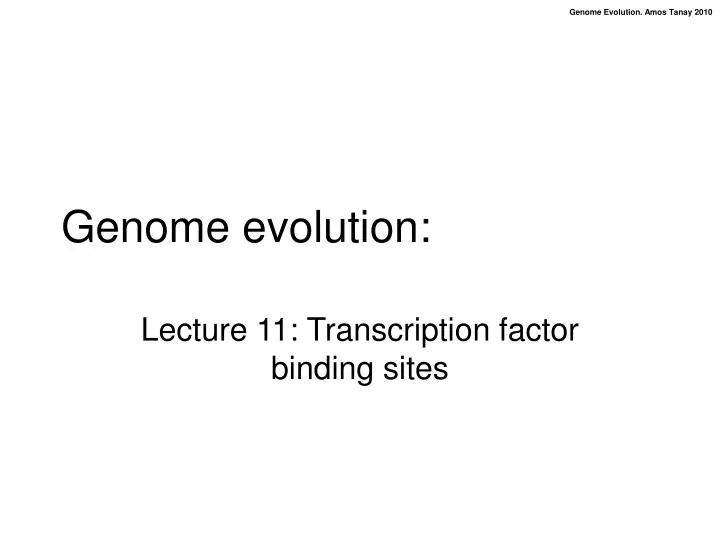 PPT - Genome evolution: PowerPoint Presentation, free download - ID:4564174
