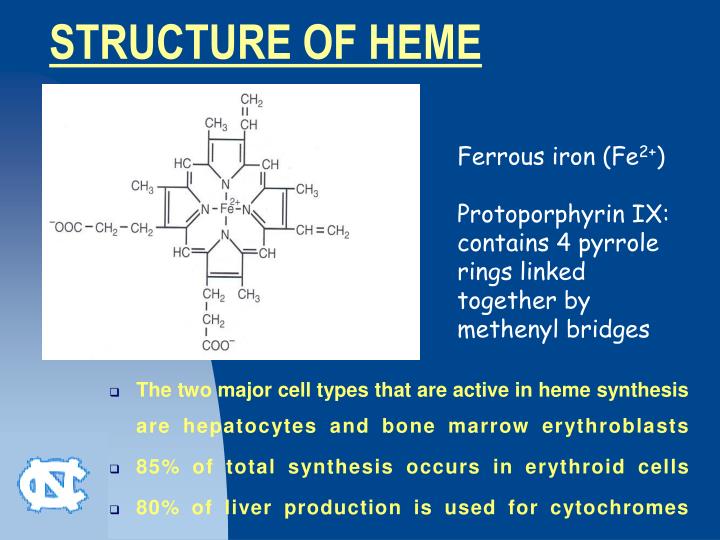 PPT - Disorders of Heme synthesis PowerPoint Presentation - ID:4565409