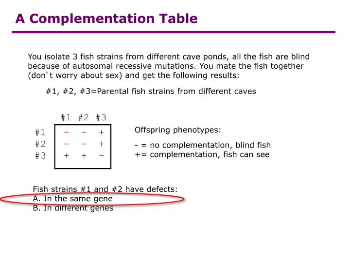 Ppt Complementation Powerpoint Presentation Id4565681 3593