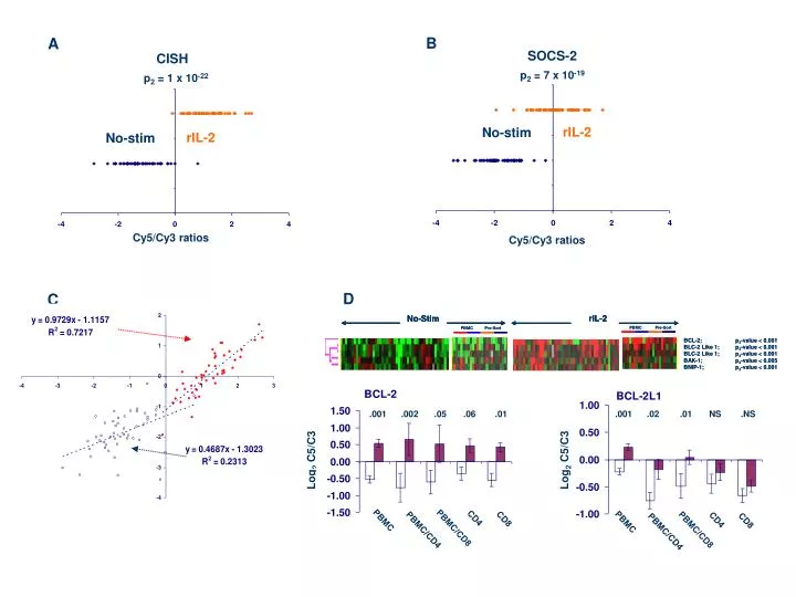 PPT - rIL-2 PowerPoint Presentation, free download - ID:4565865