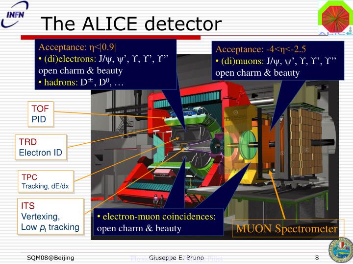 PPT - Heavy Flavours in ALICE PowerPoint Presentation - ID:4566525