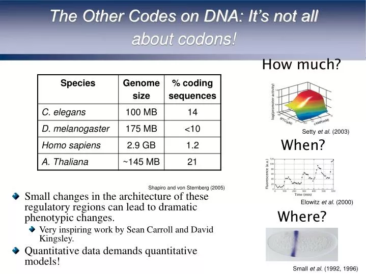 PPT - The Other Codes on DNA: It’s not all about codons! PowerPoint ...