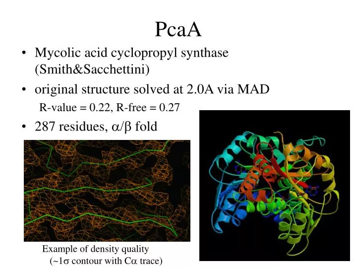 PPT - PcaA PowerPoint Presentation, free download - ID:4567290