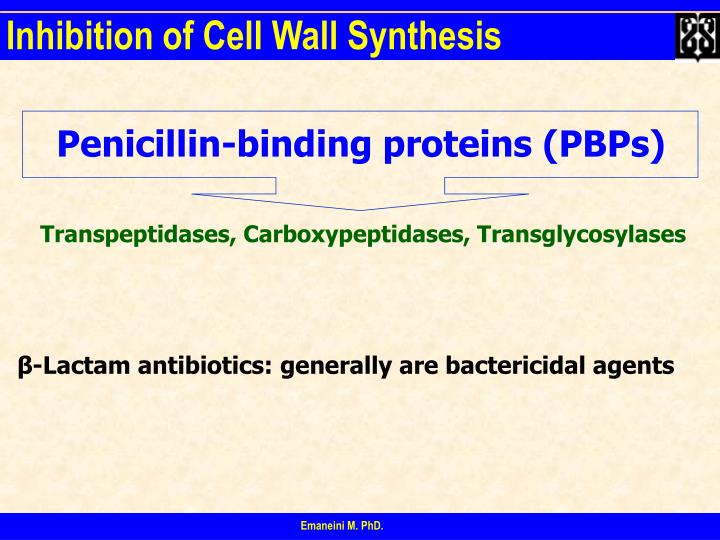 PPT - رئوس مطالب PowerPoint Presentation - ID:4567447