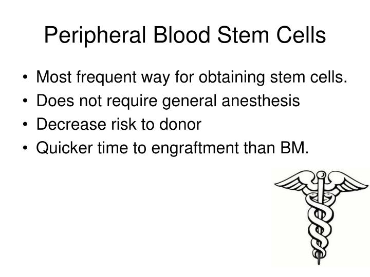 PPT - Stem Cell Procurement And Mobilization PowerPoint Presentation ...