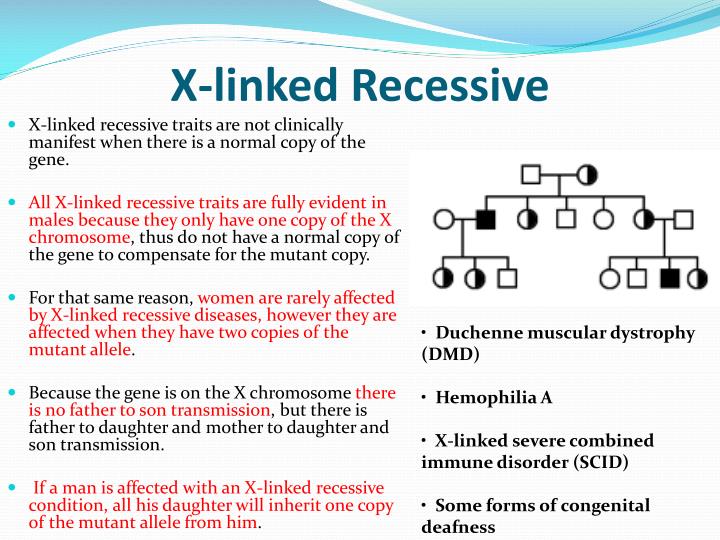 PPT - LP7 - Inheritance / Heredity and Genetic Diseases PowerPoint ...