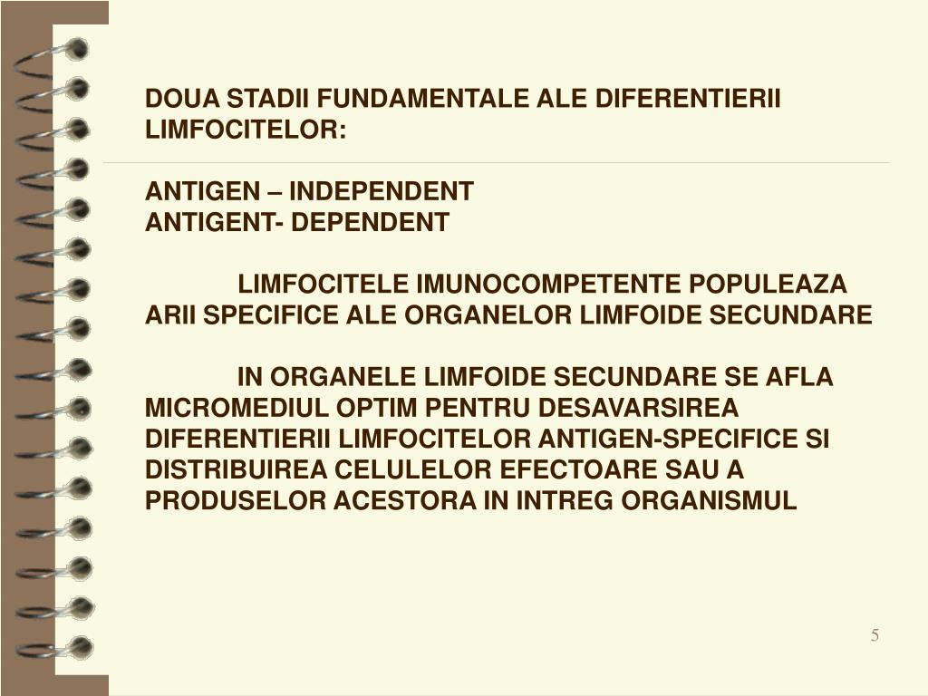 PPT - LIMFOAMELE MALIGNE NON-HODGKINIENE CURS PENTRU STUDENTII DIN ANUL ...