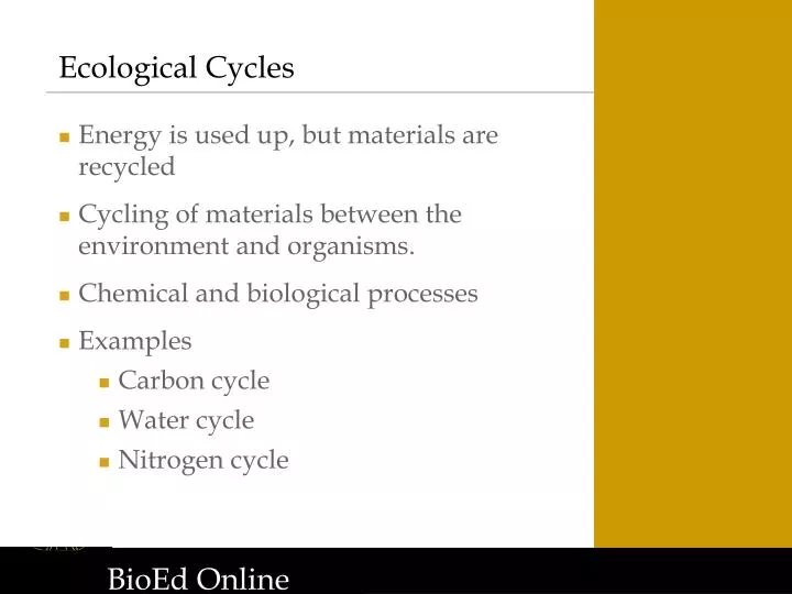 PPT - Ecological Cycles PowerPoint Presentation, free download - ID:4572422