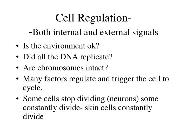 PPT - The Cell Cycle: CELLULAR REPRODUCTION PowerPoint Presentation ...