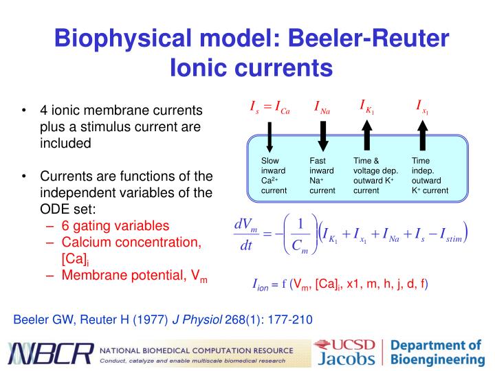 PPT - Thursday: Monodomain Modeling in Cardiac Electrophysiology ...