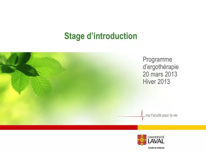 PPT - Stage d’introduction PowerPoint Presentation, free download - ID ...